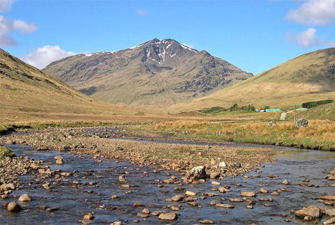 New Year, New You – Wintery Walks: Ben Lui | PurrfectlyYappy