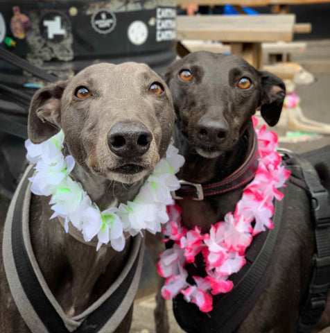 fcad3f56-c596-4ce4-aaac-4691fa60b781_b3cee096-7631-4439-8904 ...